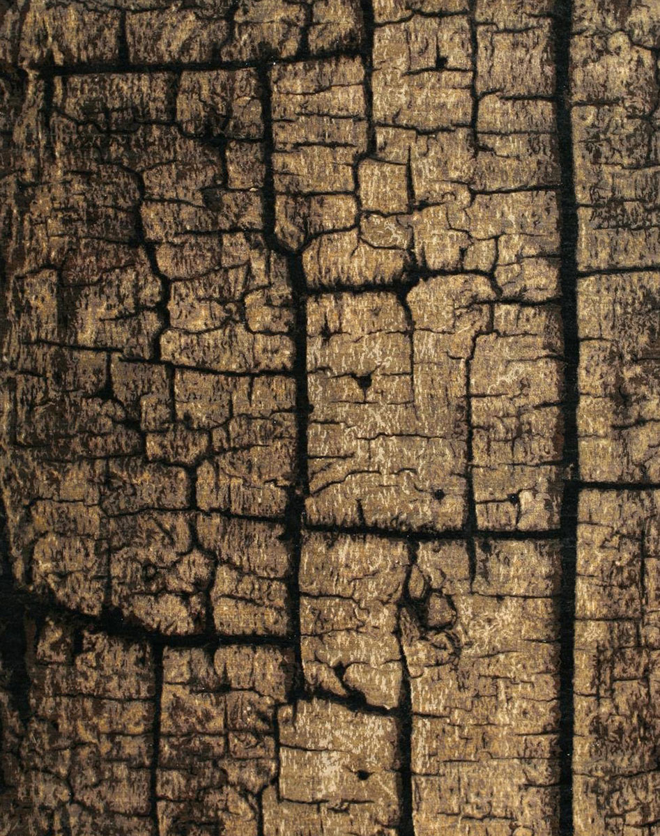 Abney Park - NIBA Designs