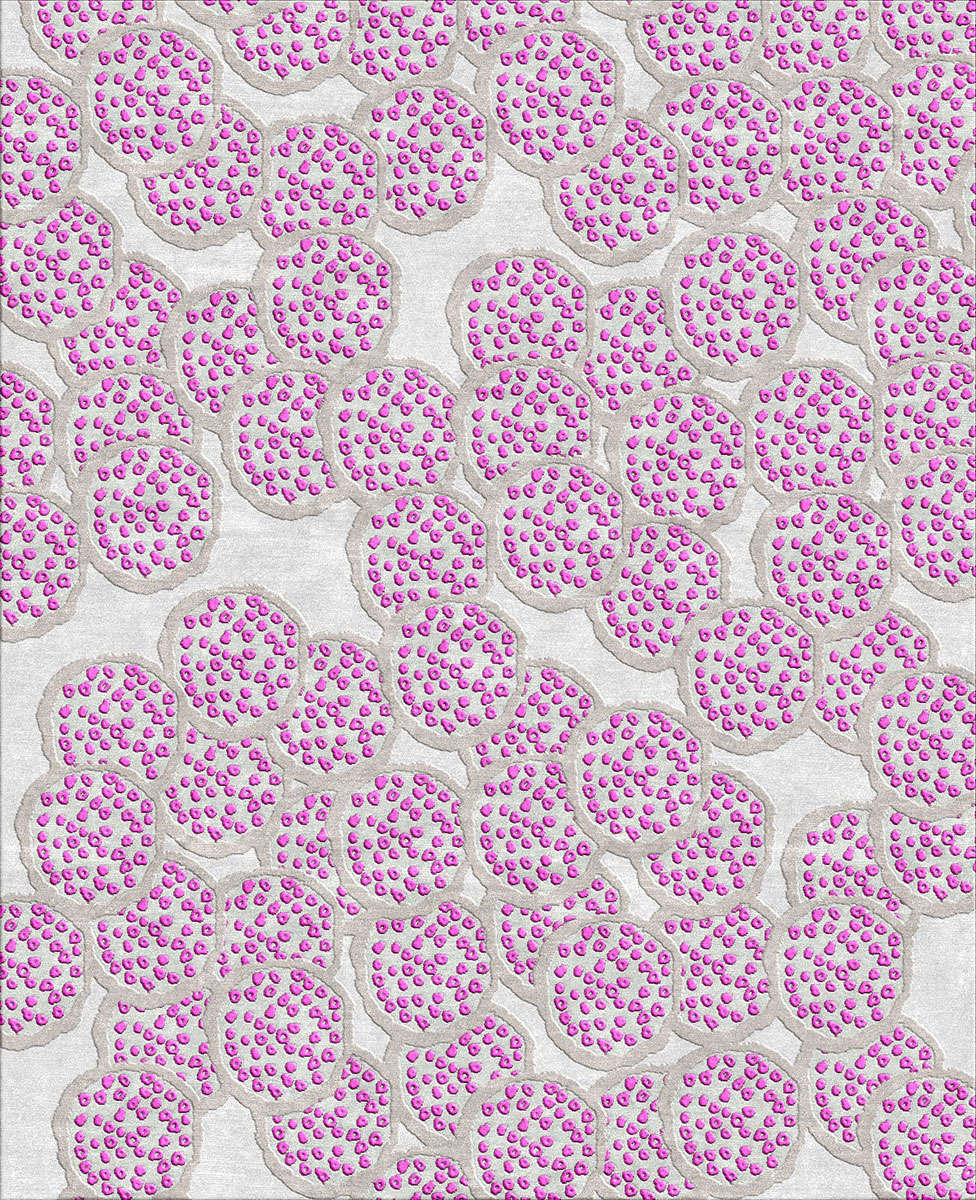 JB Cluster - NIBA Designs