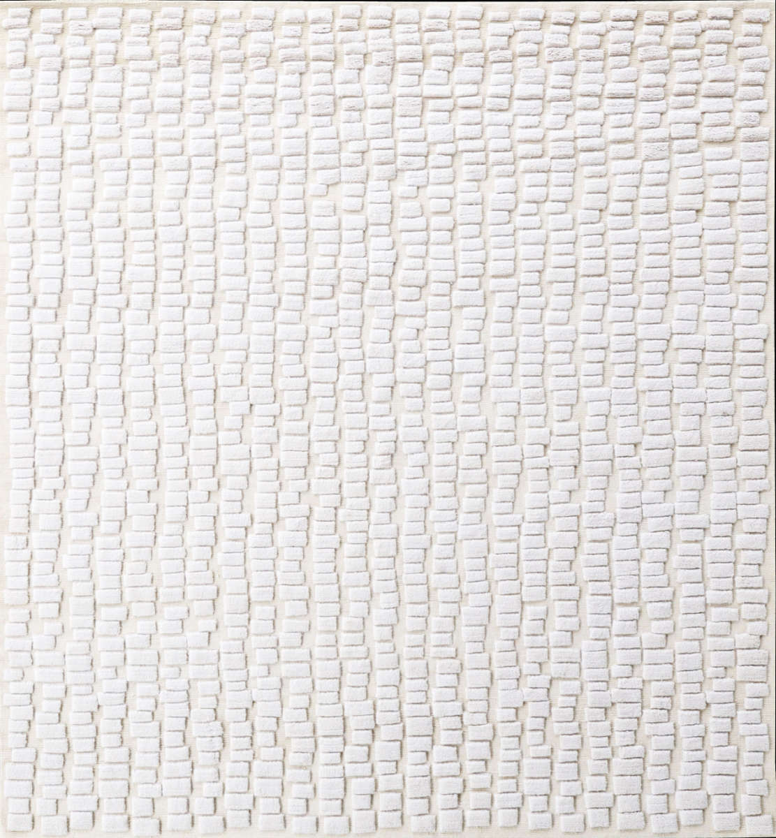 La Salva - NIBA Designs