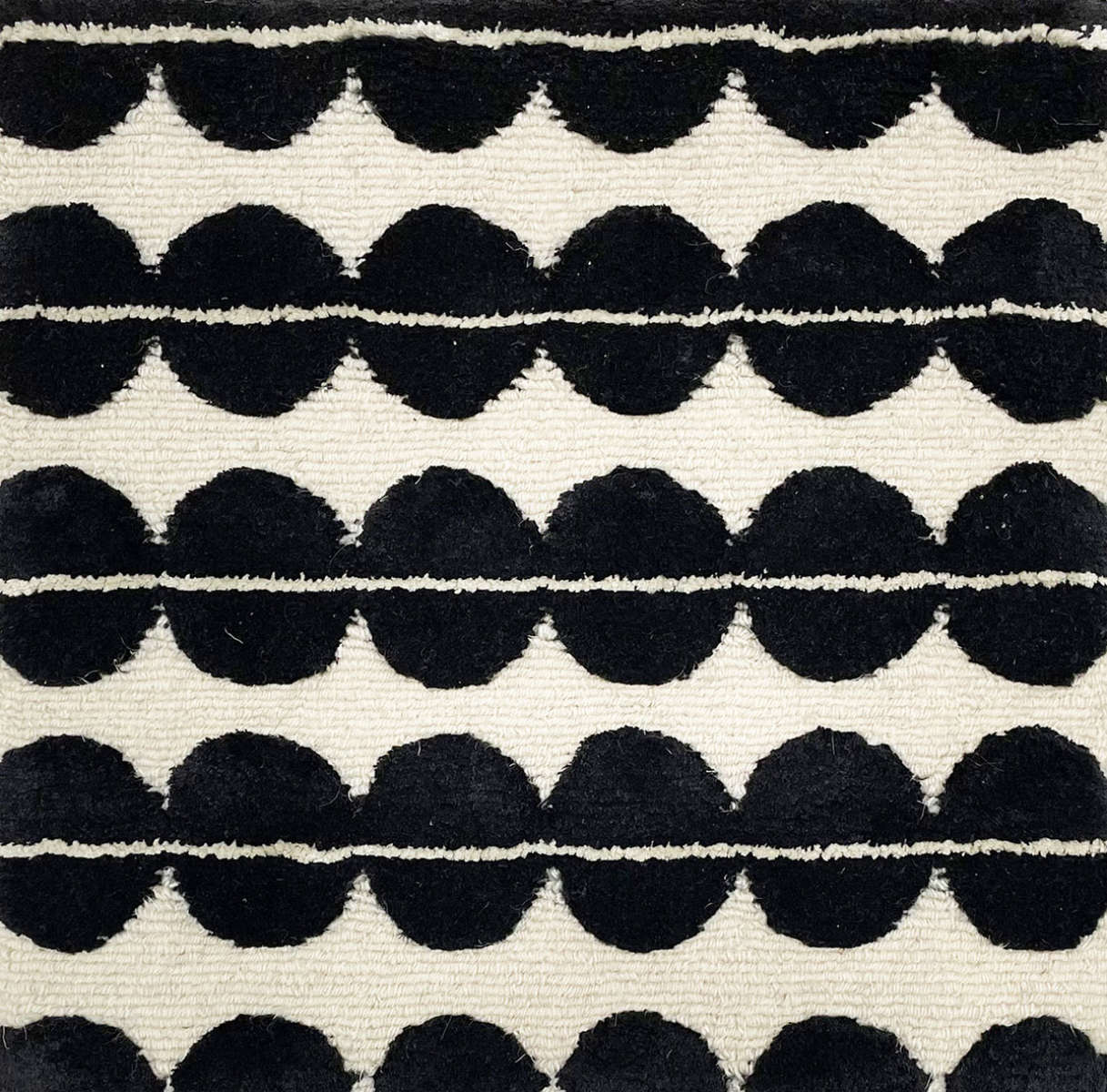 Split Egg - NIBA Designs