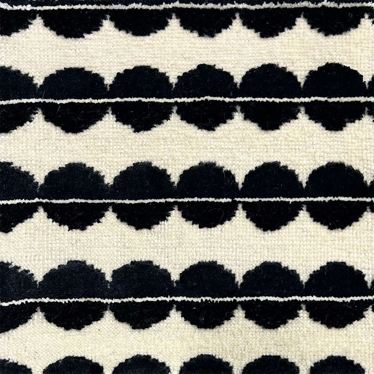 Split Egg - NIBA Designs